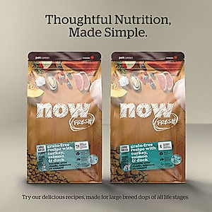 Now Fresh Grain-Free, Dry Dog Food, Real Meat and Fish, Turkey, Salmon and Duck Large Breed Senior Recipe, 25 lb Bag