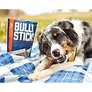 Wild Wolf 6-inch Angus Bully Sticks (8 Ounces) Healthy, All-Natural, Long-Lasting Dog Chew Bones - Natural Scent Dogs Love - Mixed Thickness