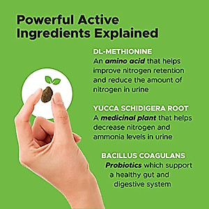 PetHonesty Grass Green - Grass Burn Spot Chews for Dogs - Dog Pee Grass Spot Saver Caused by Dog Urine - Dog Urine Neutralizer for Lawn - Cranberry, Apple Cider Vinegar, Dog Rocks - Duck (90 ct)