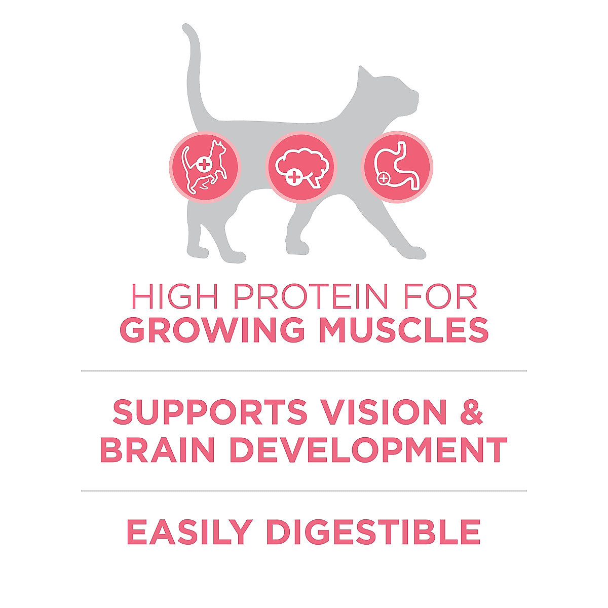 Purina ONE High Protein, Natural Dry Kitten Food, +Plus Healthy Kitten Formula - 16 lb. Bag