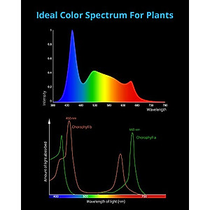 NICREW ClassicLED Plus LED Aquarium Light with Timer, 15 Watts, for 18 to 24 Inch Fish Tank Light, Daylight and Moonlight Cycle, Brightness Adjustable