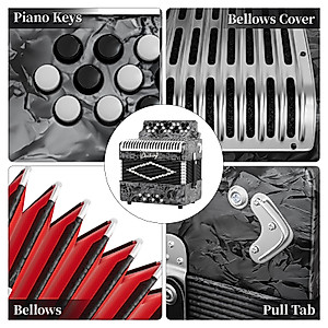 31-Key Diatonic Accordion, 12 Bass, G/C/F, Accordion Instruments for Adults With Suitcase, Cleaning Cloth, Straps and Gloves (Sliver)