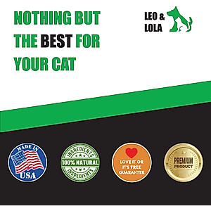 Leo & Lola Natural Cat Antibiotic : Antibiotics for Cats : Cat Antibiotics : Antibiotic for Cats : Cat Antibiotics for UTI : Cat UTI : Cat UTI Treatment : Cat UTI Antibiotics : 1 fl oz