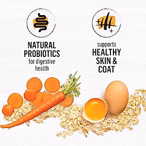 Purina Beyond Natural Dry Cat Food Wholesome Ingredients for Whole Health White Meat Chicken and Whole Oat Meal Recipe - 13 lb. Bag