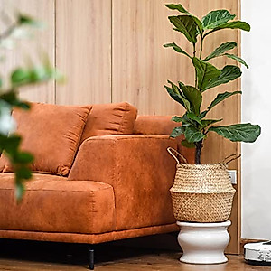 LiloCraft 2 Pack Seagrass Plant Basket XXLarge (16x14 inches) - TheMulti-Functional Home Decor Storage Solution with Eco-Friendly, Woven Basket Planter Indoor with Handles, Round Boho Plant Pot