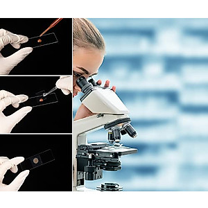 MILLSYN 50 pcs Microscope Slides Blank Plain, Plus 100 pcs Coverslips Ultra-Clear Cover Glasses