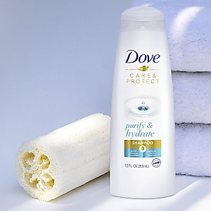 Dove Care & Protect Shampoo for Dry Hair Purify & Hydrate Hair for Dryness Protection 12 oz
