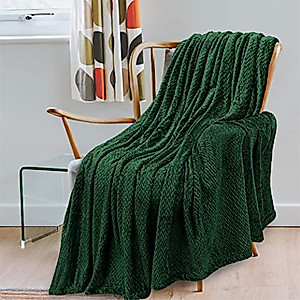 PAVILIA Soft Flannel Fleece Blanket Throw Emerald Green, Textured Decorative Velvet Blanket for Couch Sofa Bed, Fuzzy Plush Cozy Warm Lightweight Microfiber Throw, Jacquard Weave Leaves Pattern 50x60