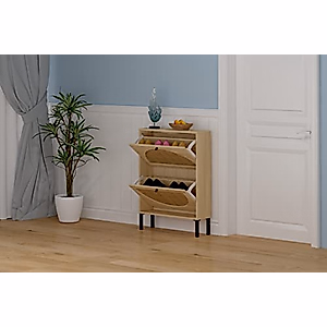 ZeHuoGe Natural Rattan Shoe Cabinet with 2 Flip Drawers, Modern 2-Tier Shoe Rack Storage Cabinet for Heels, Boots, Slippers, Free Standing Shoe Rack, Entrance Hallway (Natural)
