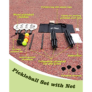 NQV Pickleball Set with Net,10FT Half Court Size Pickleball Net Portable Outdoor Indoor Driveway Home+4 Wood Paddles+4 Pickle Balls+4 Ball Retrievers, Pickleball Set for Adults Kids Beginners Pros