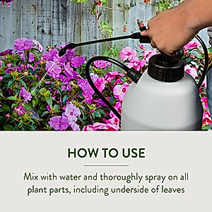 Garden Safe Neem Oil, 10 Fl Oz,  Case Pack of 6