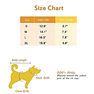 MuYaoPet Leopard Dog Bikini Beach Swimsuit with Dog Hat Swimming Cap Puppy Bathing Dress Suit Summer Pet Clothes Cat Costumes for Small Dog (Large, Pink)