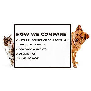 Left Coast Performance 8oz Beef Bone Broth Powder for Dogs and Cats – Premium Grass-Fed Beef Broth Topper for Picky Eaters –Supports Joints and Gut Health – Bone Broth for Cats