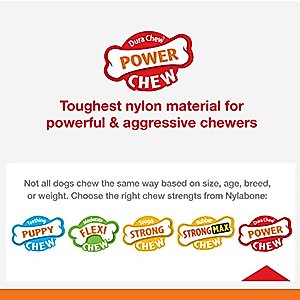 Nylabone Dura Chew Power Chew Textured Bone Flavor Medley Small/Regular (1 Count)