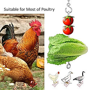 Chicken Vegetable Hanging Feeder Toy for Hens Pet Chicken Veggies Skewer Fruit Holder for Hens Large Bird
