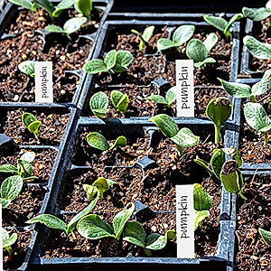 Foraineam 1000 Pcs 4 Inches Plant Labels Plastic Plant Tags Nursery Garden Labels Pot Marker Garden Stake Tags