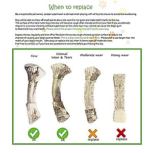 PETSLA Durable Nylon Dog Chew Toys for Aggressive Chewers Large Medium Small Breeds, Indestructible Tough Dog Toy for Dog Teething Puppies (Antler Shape, 7.16 inches)