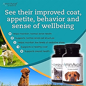 AminAvast Kidney Support Supplement for Cats and Dogs, 300mg - Promotes Natural Kidney Function - Aids in Health and Vitality of Aging Kidneys - Easily Administered - 60 Sprinkle Capsules