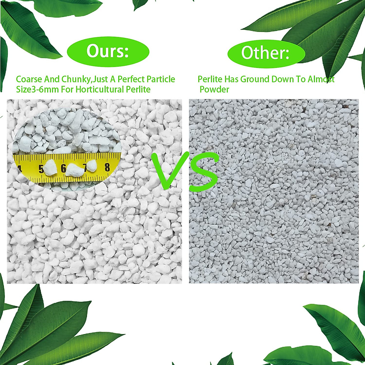 Natural Organic Perlite 5QT for Plants Potting Mix Indoor Outdoor Garden Soil Amendment for Enhanced Drainage, Seed Starter, Root Growth for Succulents, Cactus, Orchids, Money Trees, Vegetables