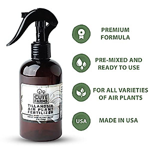 Cute Farms Tillandsia Air Plant Fertilizer | Gentle Daily Use Formula Plant Food with Care Guide | Formulated Nutrients for Air Plants (Two - 8 oz. Spray Bottles)