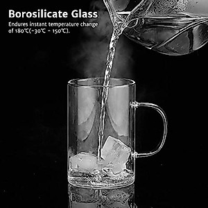 Ecooe 16.9 Oz Borosilicate Glass Tea Mug Cup Tea Glasses with Stainless Steel Infuser & Lid, Loose Leaf Glass Tea Cup Teacup 500mL