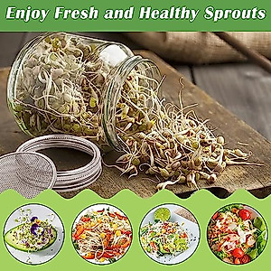 Sprouting Kit, Sprouts Growing Kit with 4 Screen Sprout Lids, 2 Stands, Tray, Blackout Sleeve, Stickers and Brush for Bean, Broccoli, Alfalfa Sprouts (No Manson Jar)