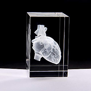 3D Human Heart Anatomical Model Paperweight(Laser Etched) in Crystal Glass Cube Science Gift (No Included LED Base)(3.1x2x2 inch)