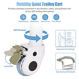 Mobile Utility Cart with Wheels Professional Medical Trolley Cart 220 Lbs Load Plastic and Stainless Steel Esthetician Storage Cart with Basins and Kegs for Beauty Salon Hospital Clinic Home