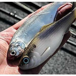 6th Sense Fishing - Sweep Swimbait - Bass Lure - Large Profile - Cajun Gill