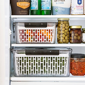 Oggi Produce Containers for Fridge with Time Tracking - Ideal for Fruit and Vegetable Storage, Fruit Storage Containers for Fridge, Berry Containers for Fridge, Lettuce Keeper - 9.5x 6.75x4.6˝