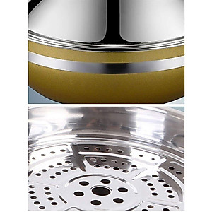 Tajine, with base, suitable for various types of stoves, induction cookers and ovens, suitable for soup pot, steamer, Taji pot, stainless steel multifunctional pot, diameter 26cm