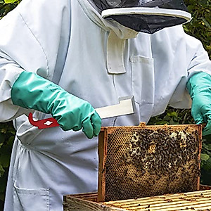 KINGLAKE GARDEN J Hook Hive Tool,2 pcs Beekeeping Equipment,Cleaning Your Beekeeping Supplies and Bee Hive,Stainless Steel Bee Hive Scraper