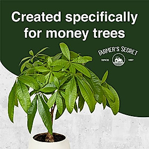Farmer’s Secret Money Tree Liquid Plant Food Fertilizer (8oz) - Super Concentrated - Strengthen Roots and Encourage Growth in All Varieties of Money Trees