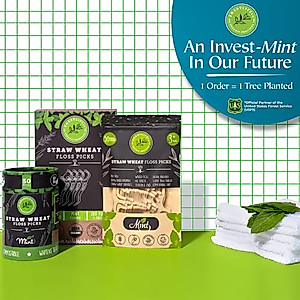 Individually Wrapped Dental Floss Picks - Biodegradable Plastic Free Flosser Handle & Packaging | Natural Toothpick Stick Soft On Gums & Teeth | Eco Friendly, Zero Waste, Organic Flossers | Mint, 50x