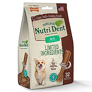 Nylabone Nutri Dent Filet Mignon Flavored Dog Dental Chews 32 Mini 1.75" Treats for Dogs 5-10 lbs.