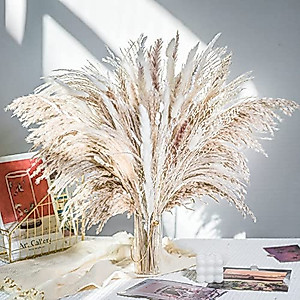 86PCS Natural Dried Pampas Grass Bouquet,Boho Home Decor Bouquet, Phragmites Dried Flowers,Bouquet for Wedding Floral Arrangements Home Decorations