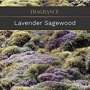 CLCo. by Candle-Lite Company Scented Candles, Lavender Sagewood Fragrance, One 14 oz. Single Wooden Wick Aromatherapy Candle with 90 Hours of Burn Time, White Color