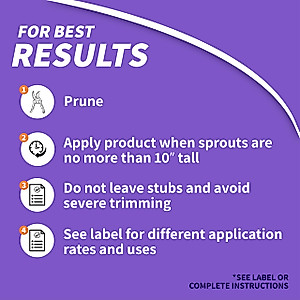 Bonide Sucker Punch, 8 oz Ready-to-Use Sprout Control Liquid with Brush Applicator, Plant Growth Regulator