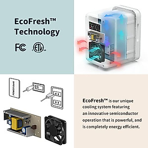 Potiry Mini Fridge, 6 Liter AC/DC Portable Thermoelectric Cooler and Warmer Mini Fridge for Bedroom Car Home Travel Mini Refrigerator for Skin Care Foods Medications