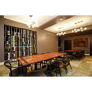 VintageView Wall Series Frame - Up to 162 Bottle Floating Wine Rack - Stylish Modern Wine Storage with Label Forward Design (Brushed Nickel, 10')