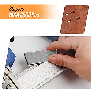 SITLDY 2800-Count 18 Gauge 1/4" Narrow Crown Staples 1/2"-1200, 3/4"-800, 1"-800, Heavy Duty Galvanized, Assorted Size Project Pack, for Pneumatic, Electric Stapler (Silver)