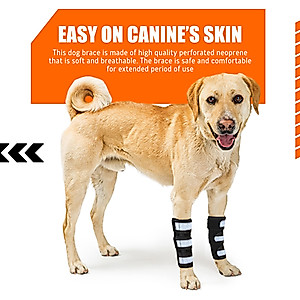 NeoAlly- Front Leg Brace for Dogs & Cats, Dog Leg Brace with Metal Spring Inserts, Dog Leg Sleeve for Carpal Support, Dog Leg Sleeve with Reflective Straps, L/XL, Pair