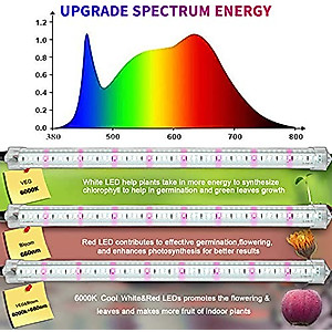 White Grow Light Strips for Indoor Plants, Moya Std 16in 6000K T5 Plant Light Full Spectrum Cabinet Grow Lamp with 240 White & Red LEDs, Auto ON/Off 3/6/12h Timer & 5 Brightness for Houseplants