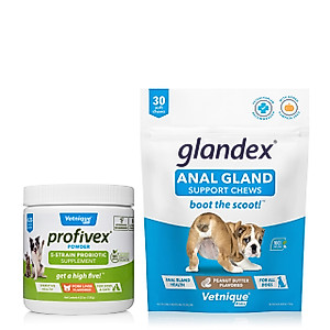 Profivex 5-Strain Cat & Dog Probiotic Powder 4.25oz and Glandex for Dogs Anal Gland Support Chews 30 Ct Bundle, Anal Gland Supplement for Dogs, Pork Liver Flavor Probiotic Powder for Dogs and Cats