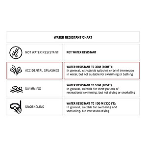 Anne Klein Women's Leather Strap Watch