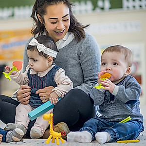 HONGTEYA Teething Toys for Babies 0-6 Months 6-12 Months 6 Pack- 4 Teethers, 2 Fruit Feeders for Newborn Infants BPA Free Natural Organic Freezer Silicone Baby Teethers Set(Pink)