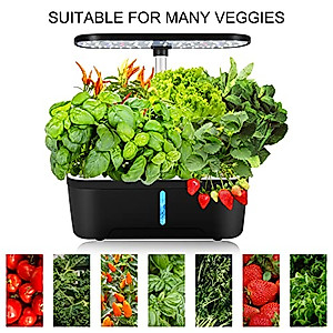 DISNILA Hydroponic Growing System Indoor Hydroponics Garden 20W 83 LED Full Spectrum Growing Light, 6Pods Smart Automatic Timer Hydrogarden for Indoor Kitchen Black