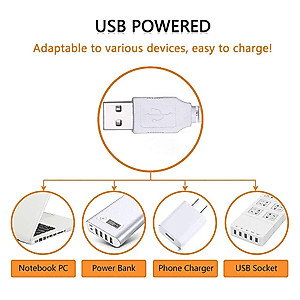 Pineapple Neon Signs, LED Neon Light Signs, Pineapple Neon Night Light for Luau Summer Party Children Kids Gifts Wall Art Bedroom Decorations Home Accessories Party and Holiday Decor Bedroom Office