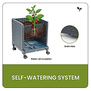 DXront Raised Garden Bed with Tomato Cage 56.7” Self Watering Tomato Planter Boxes with Trellis Wheels for Outdoor Climbing Flowers Vegetable Vine Vegetables