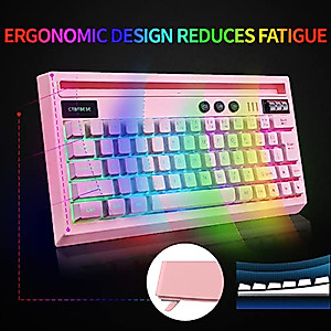 CTBTBESE Wireless RGB Backlit Gaming Keyboard, Ultra-Compact 61 Keys with Phone Stand, Waterproof for PC/Mac Gamer, Typist, Travel(Pink)…